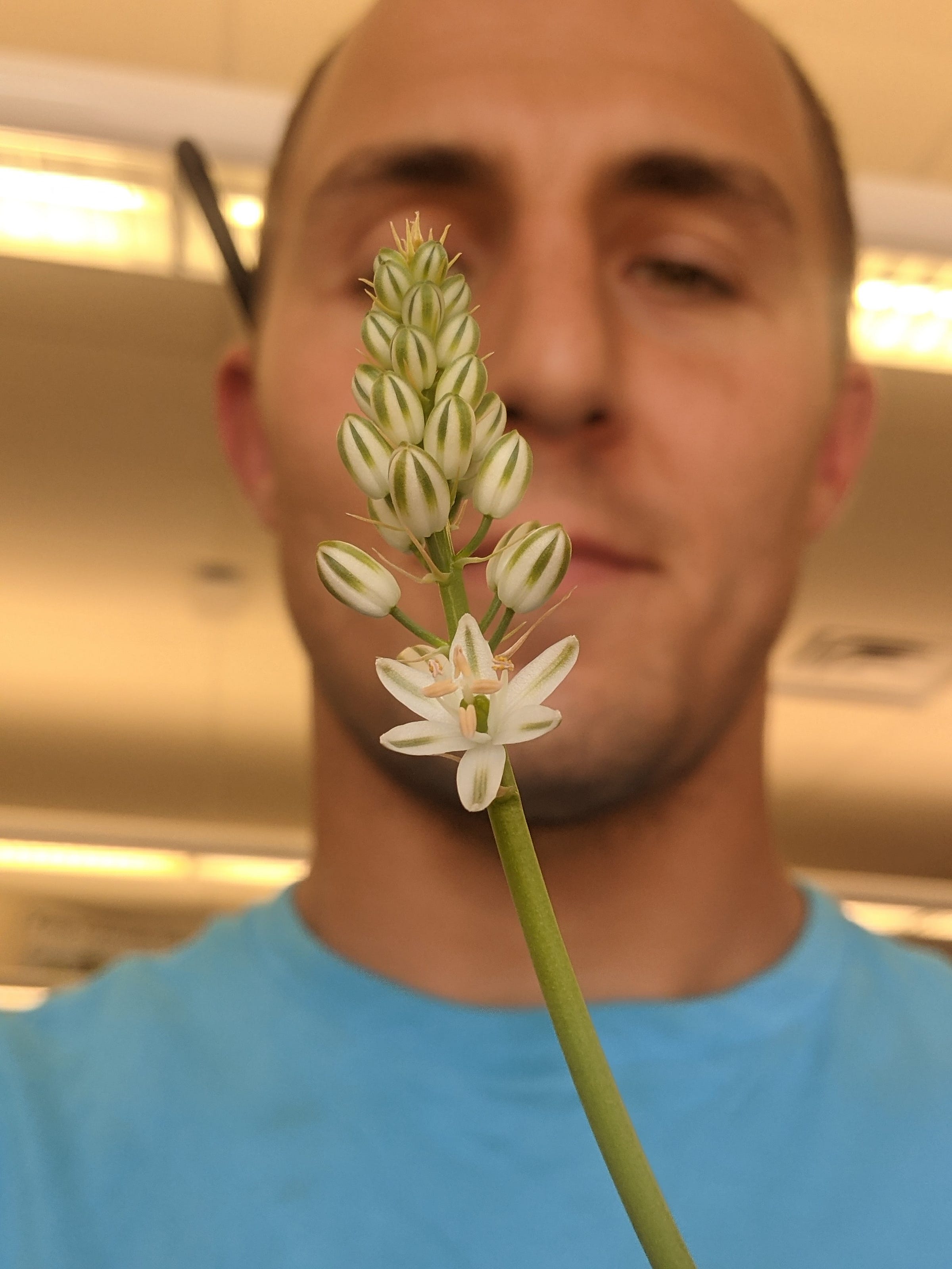 Gabe Watson – Medium