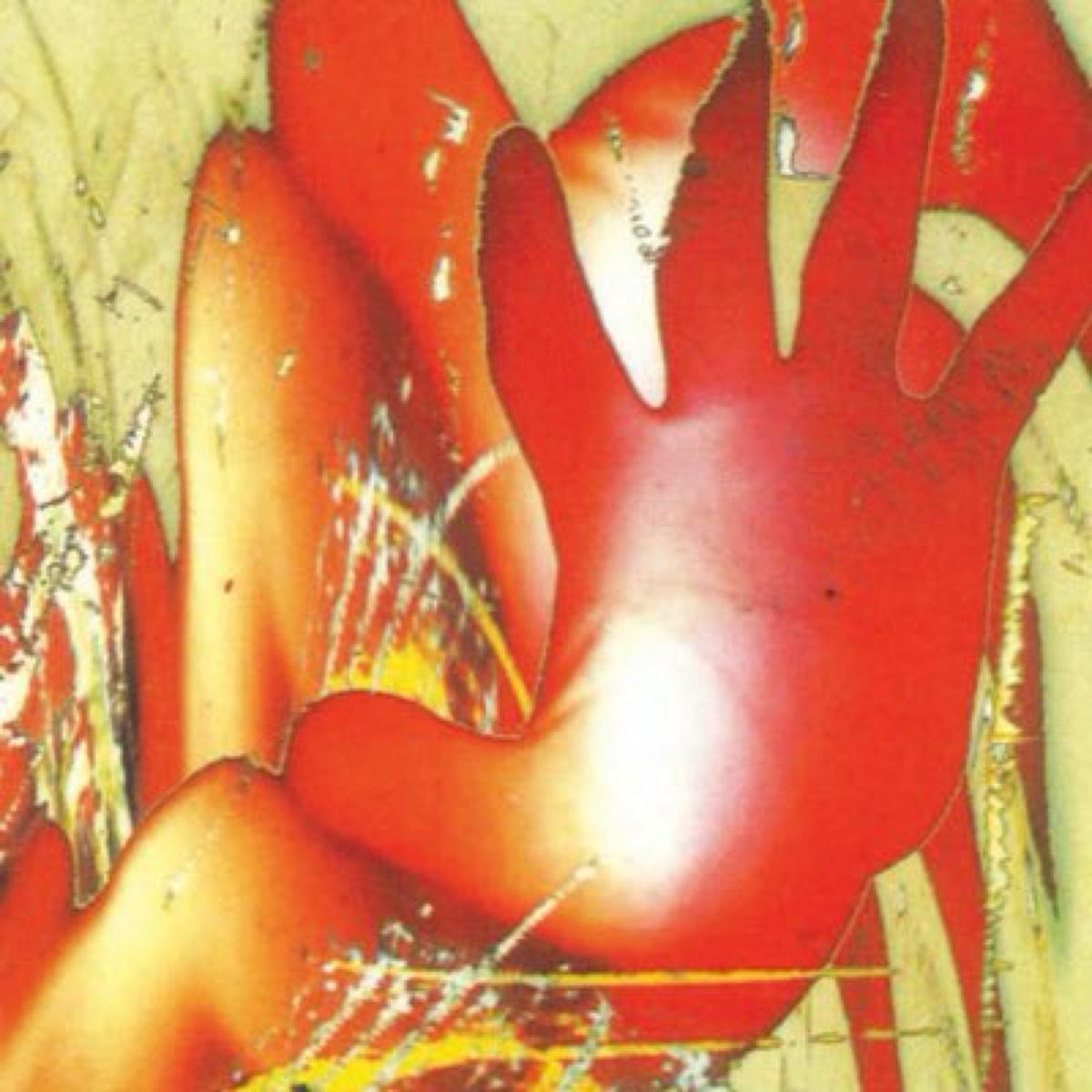 Sunami Kobayashi – Medium