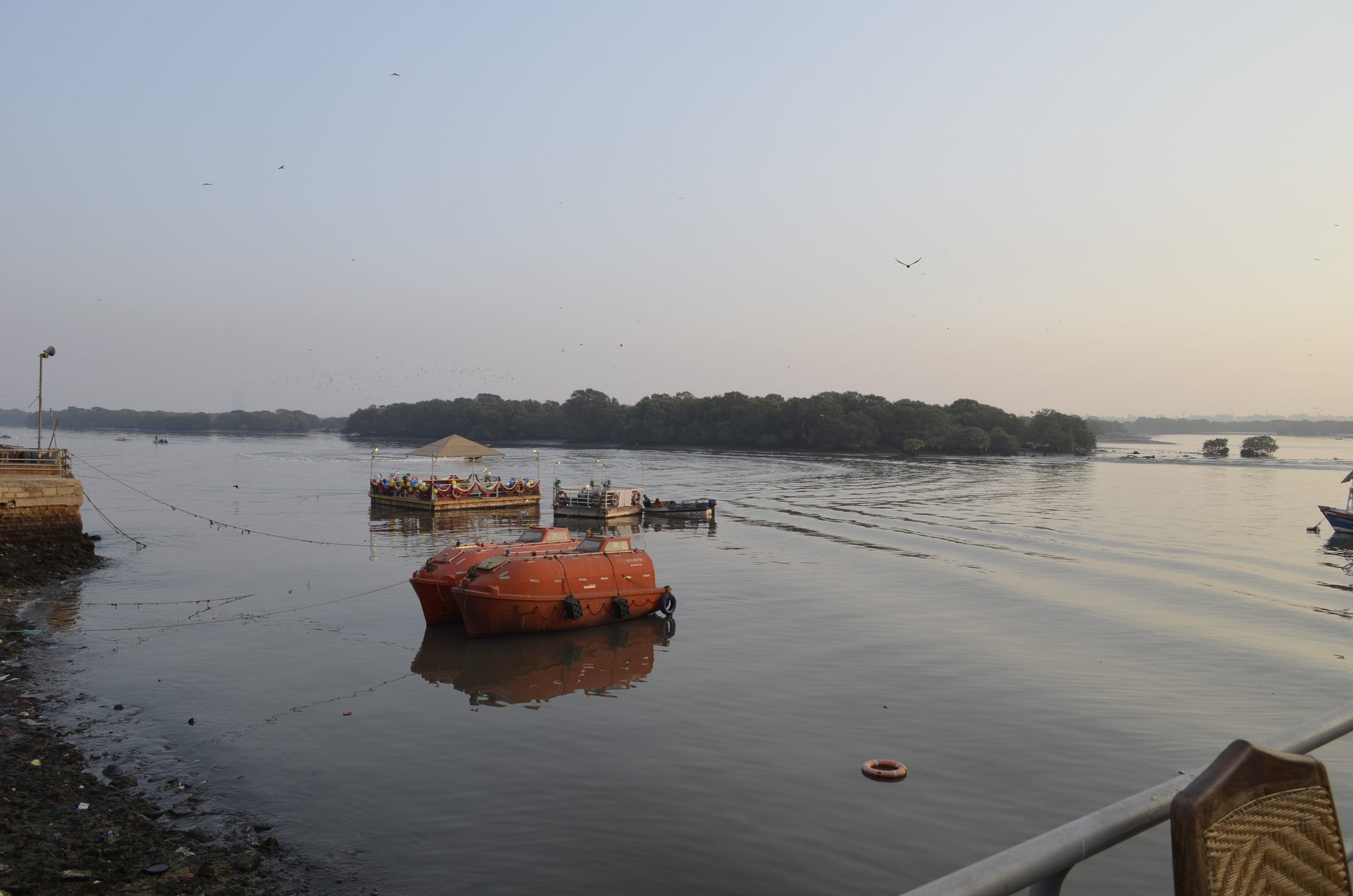 Sunita J. Marshal – Medium