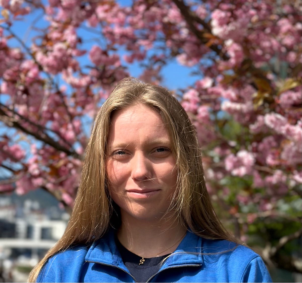 Karolina Gil on Medium curated some lists