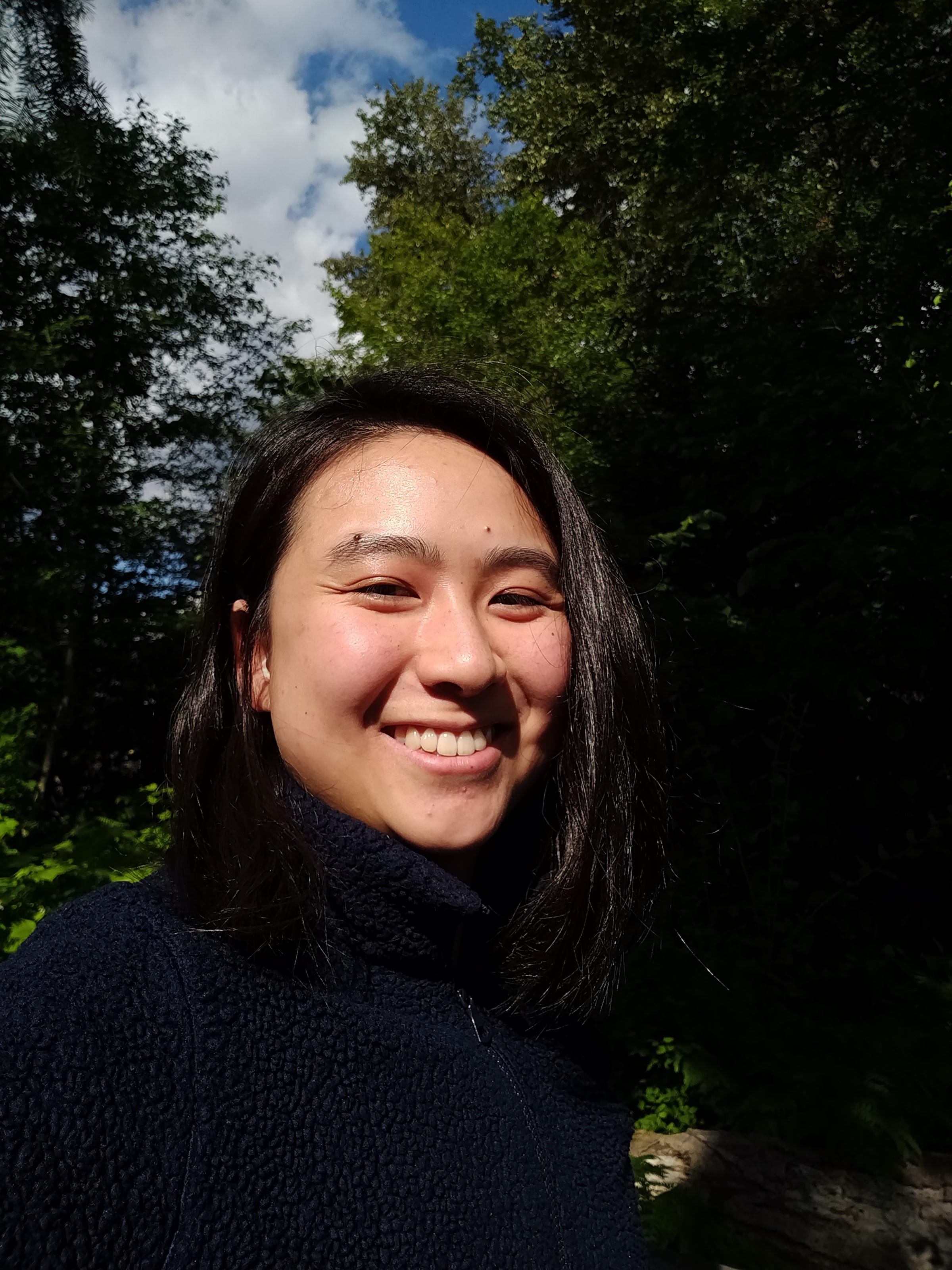 Ju Liang on Medium curated some lists