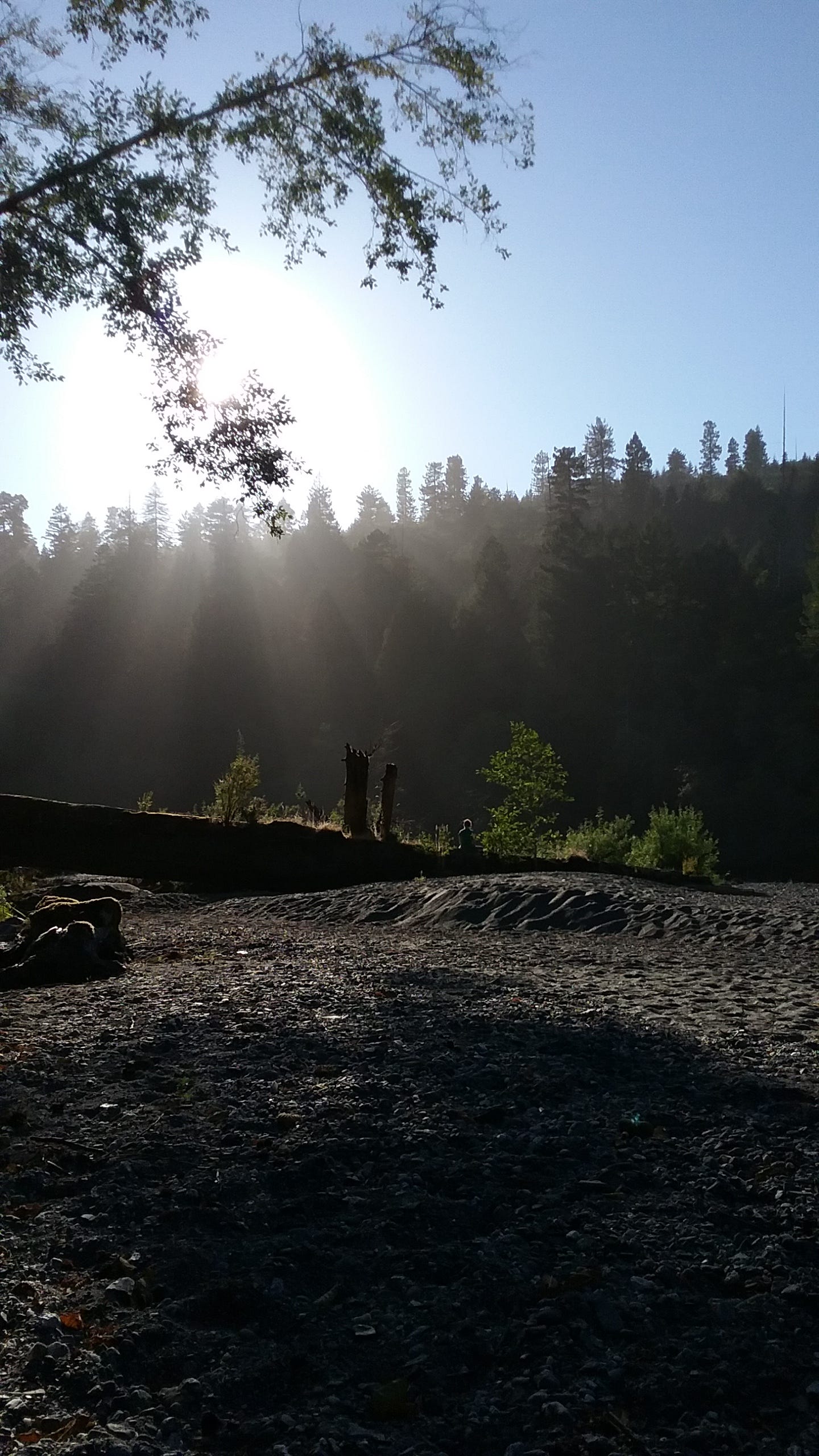 Daily Haiku …in a Fortnight