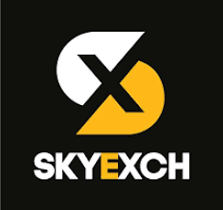 Skyexch – Medium