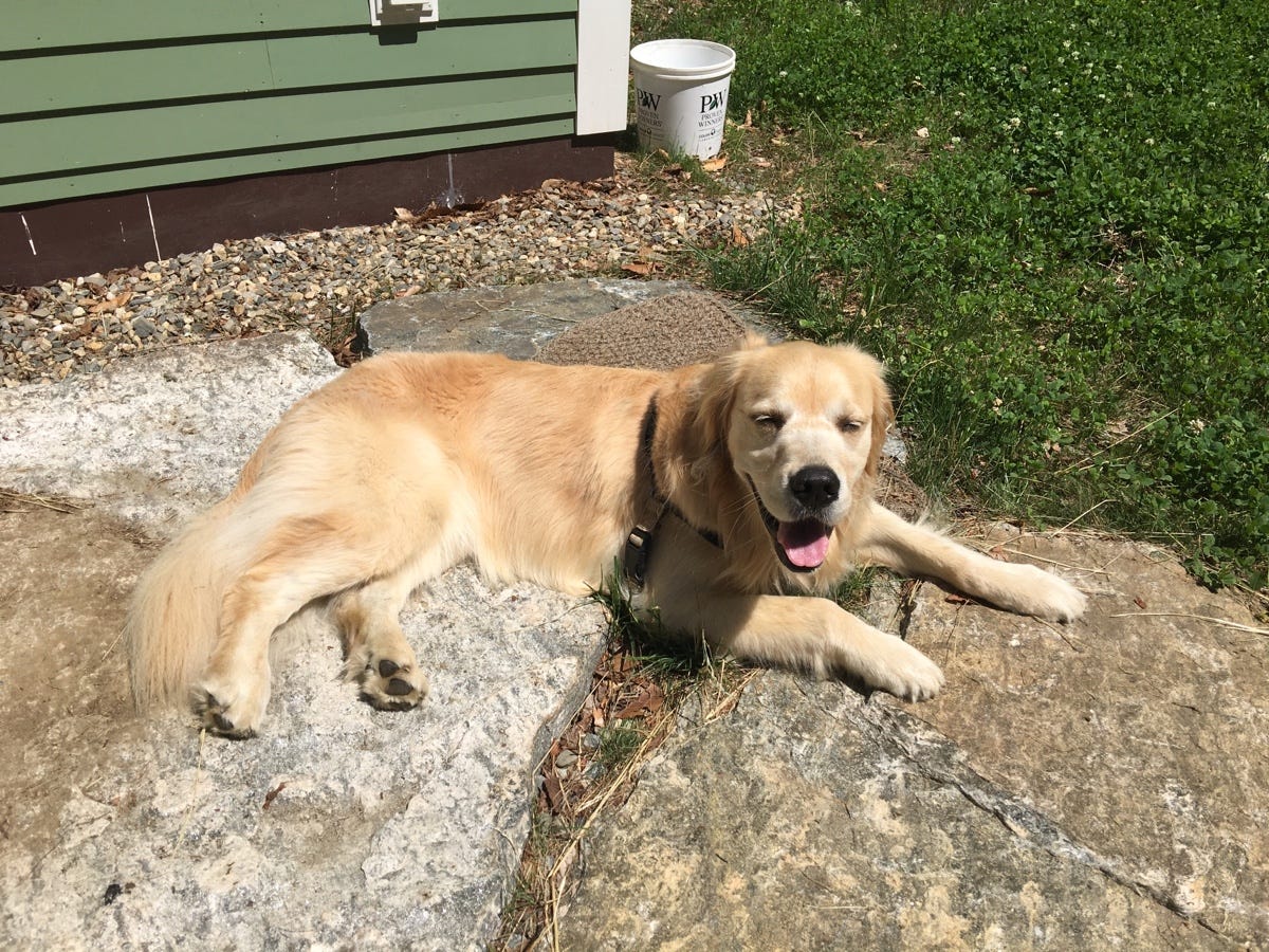 Nathaniel Warner – Medium