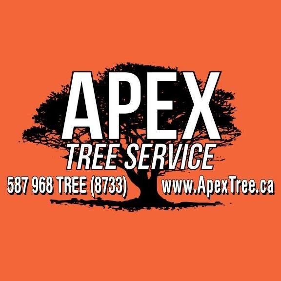 Apex Tree Removal Calgary Medium
