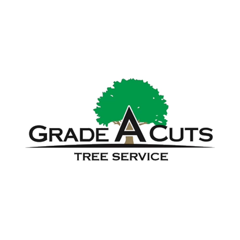 Grade A Cuts – Medium