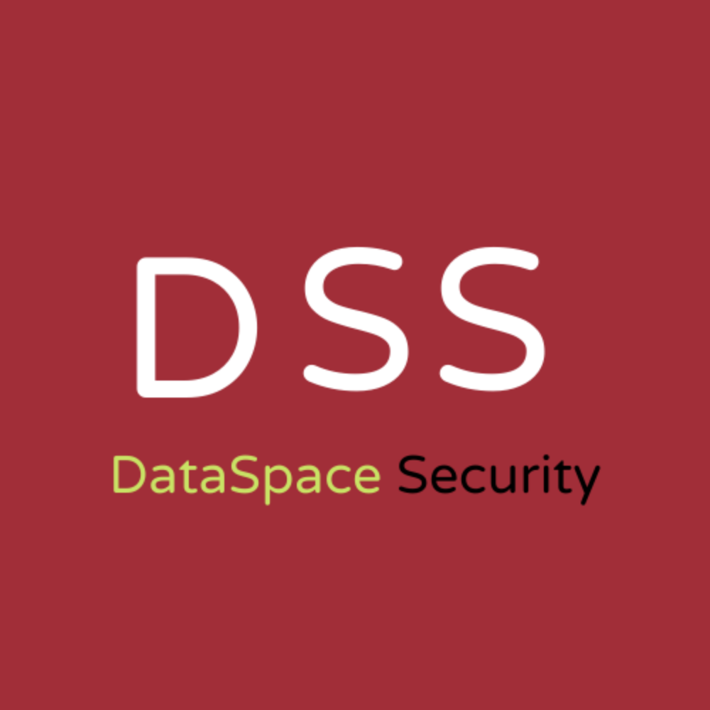 About – Dataspace Security – Medium