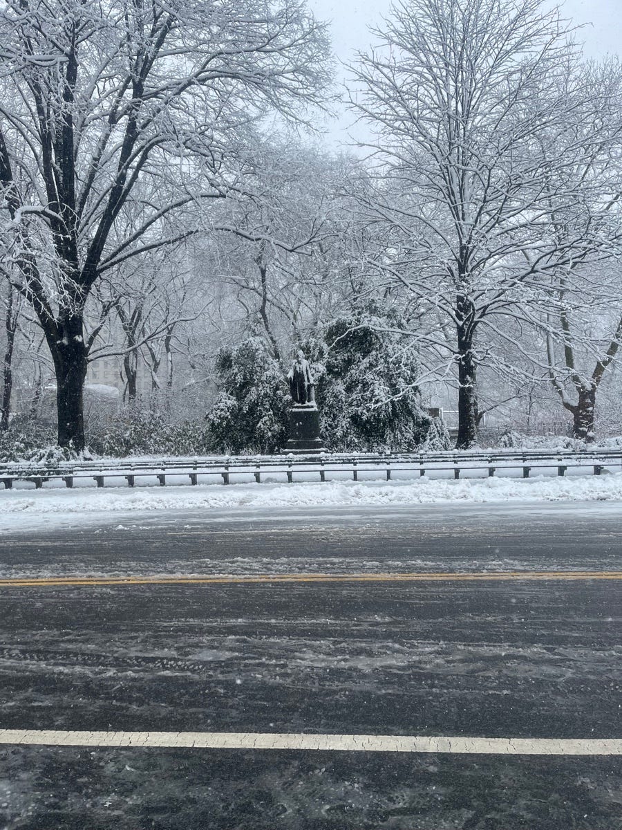 Jaiden Alexander – Medium