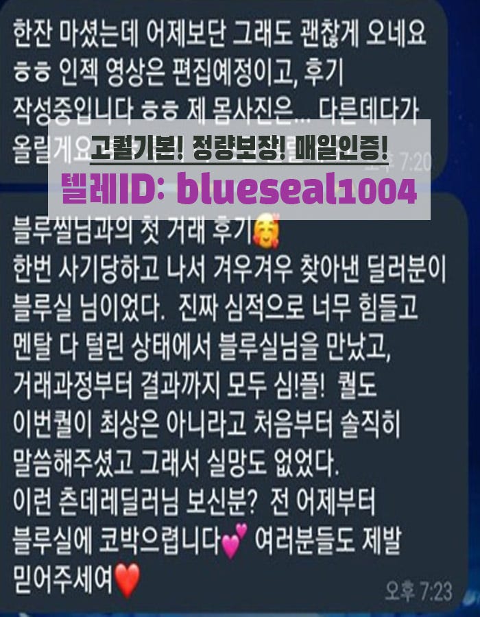 블루씰 공식 페이지 Medium