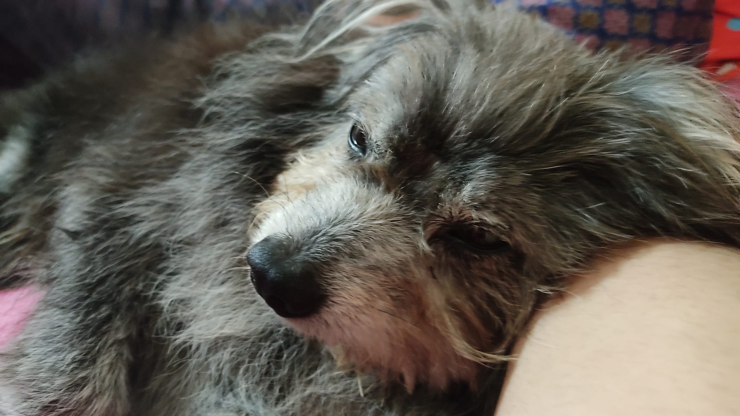 Vyshagha Dileep – Medium