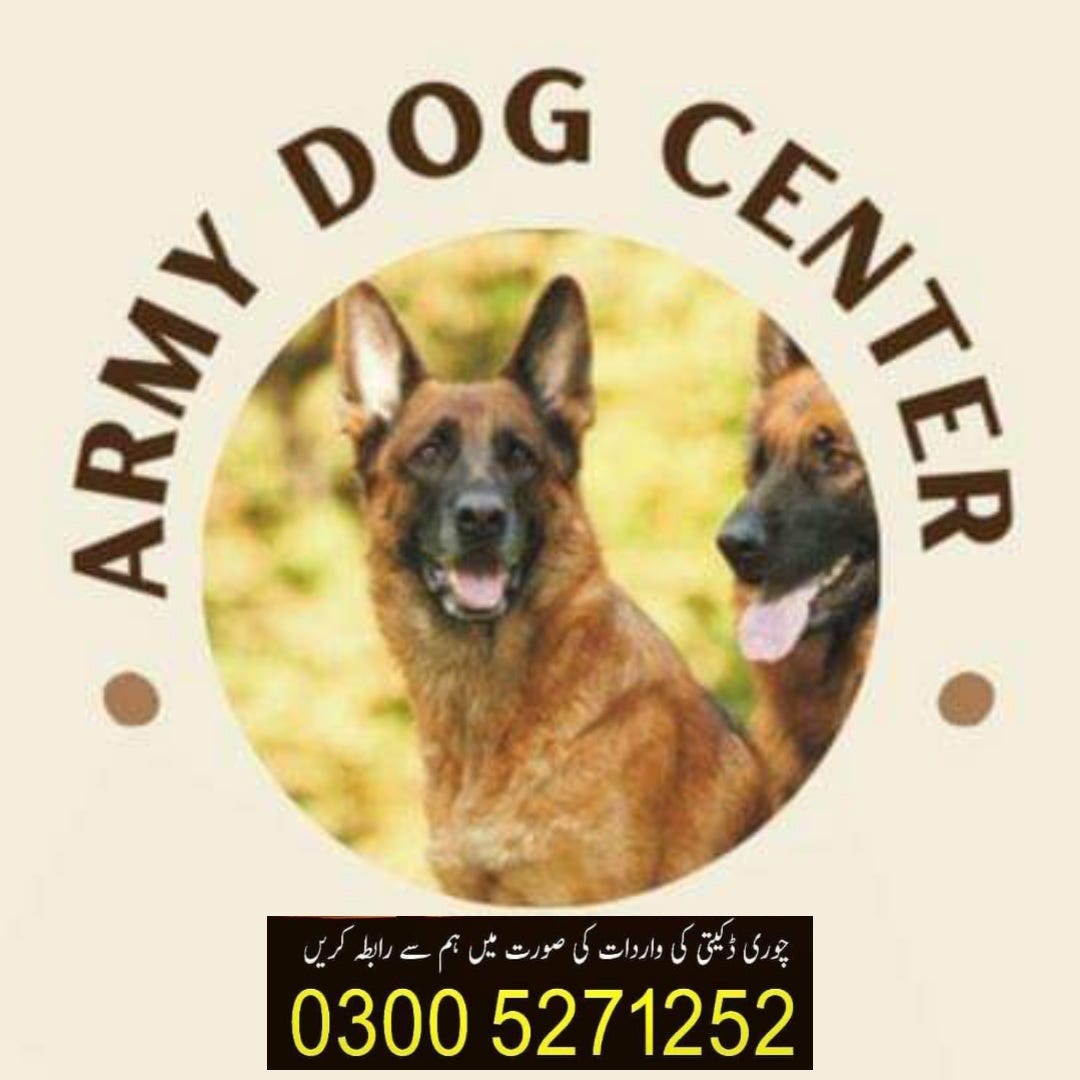 Army Dog Center Westridge Rawalpindi – Medium