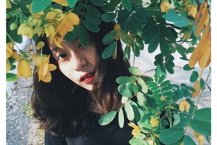 About – Thanh H Rex – Medium