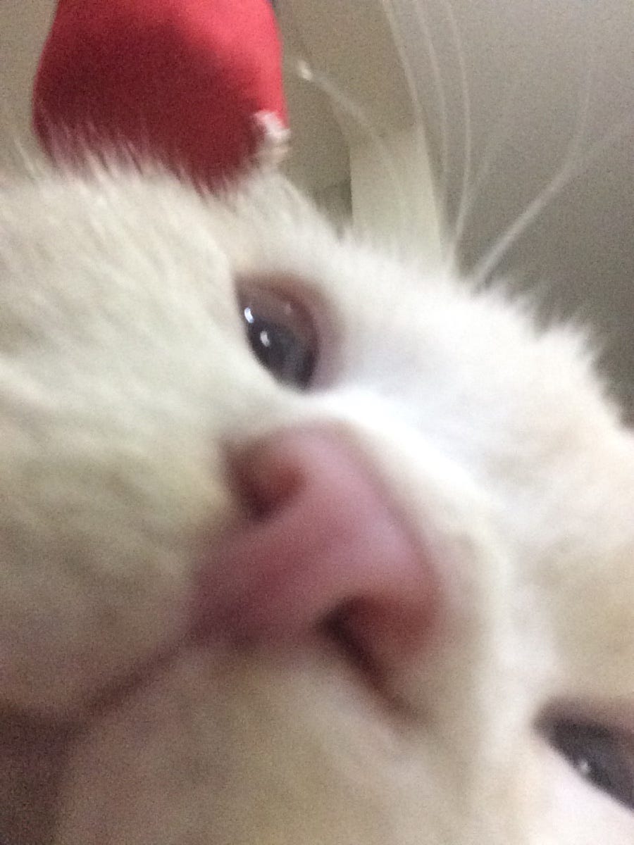 Adam Darwish – Medium