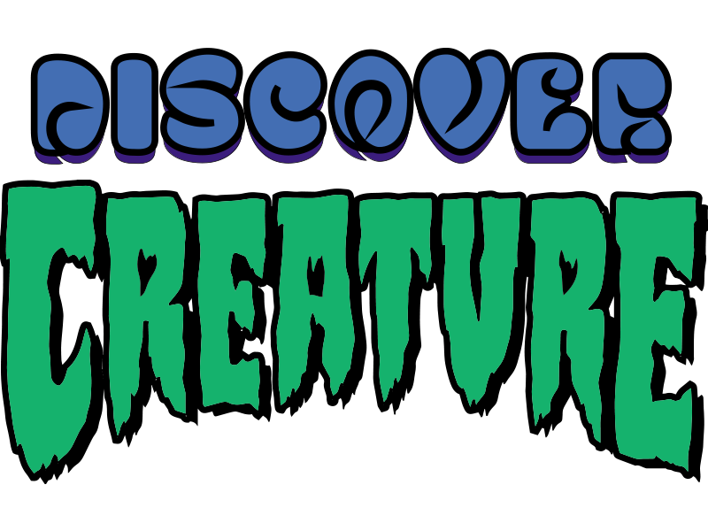 Discover Creatures – Medium