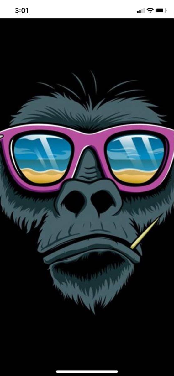 Dilan Mehta – Medium