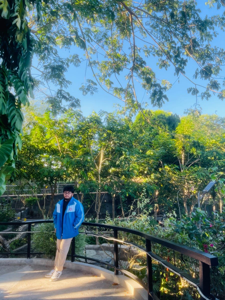 Krister Elvic – Medium