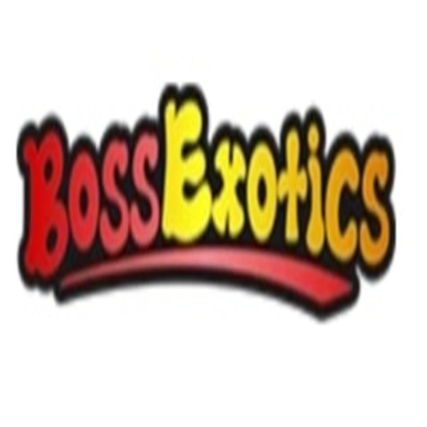 Bossexotics – Medium