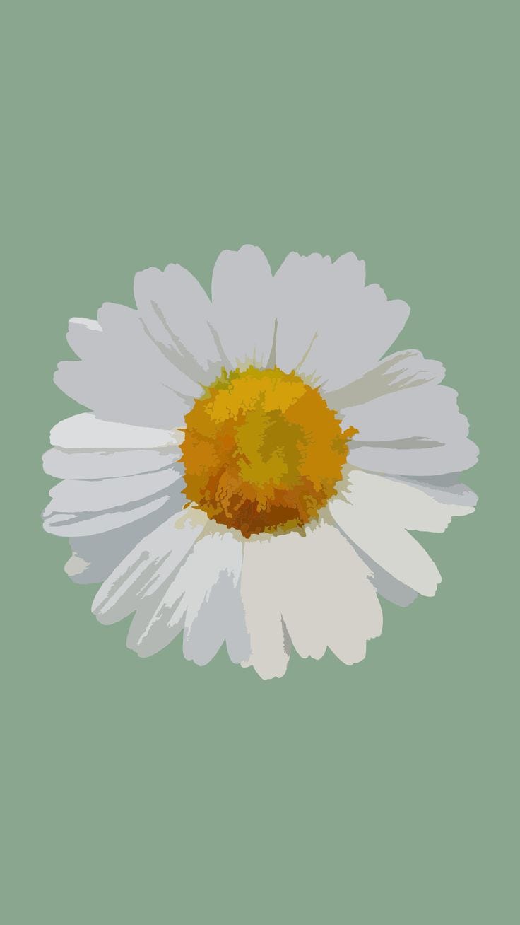 🤍 on Medium curated some lists