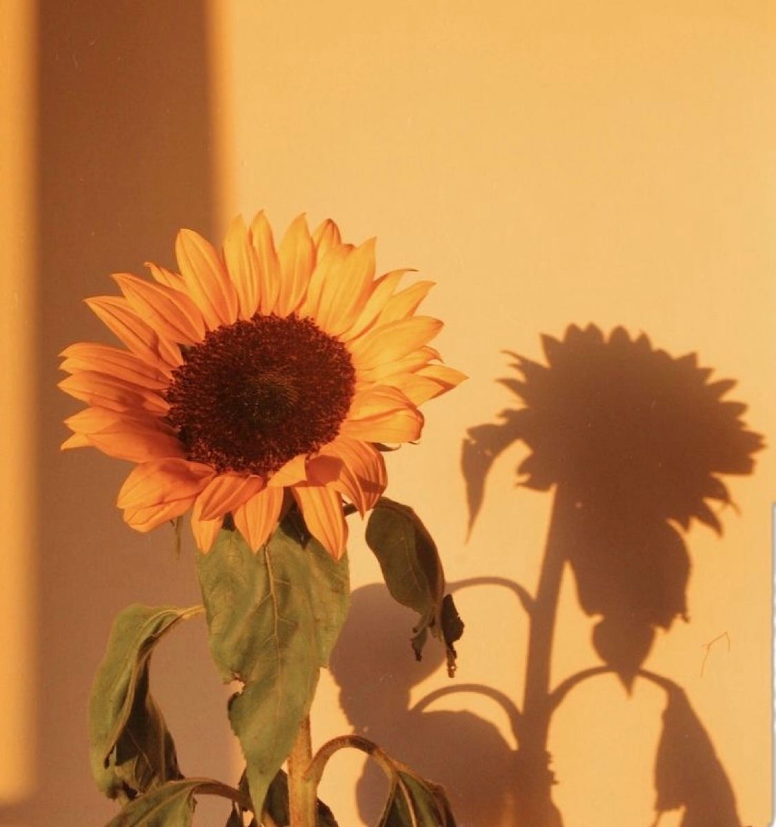 stories by eloise – Medium