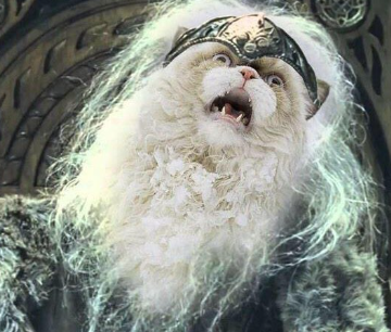 The Jolly Magpie – Medium