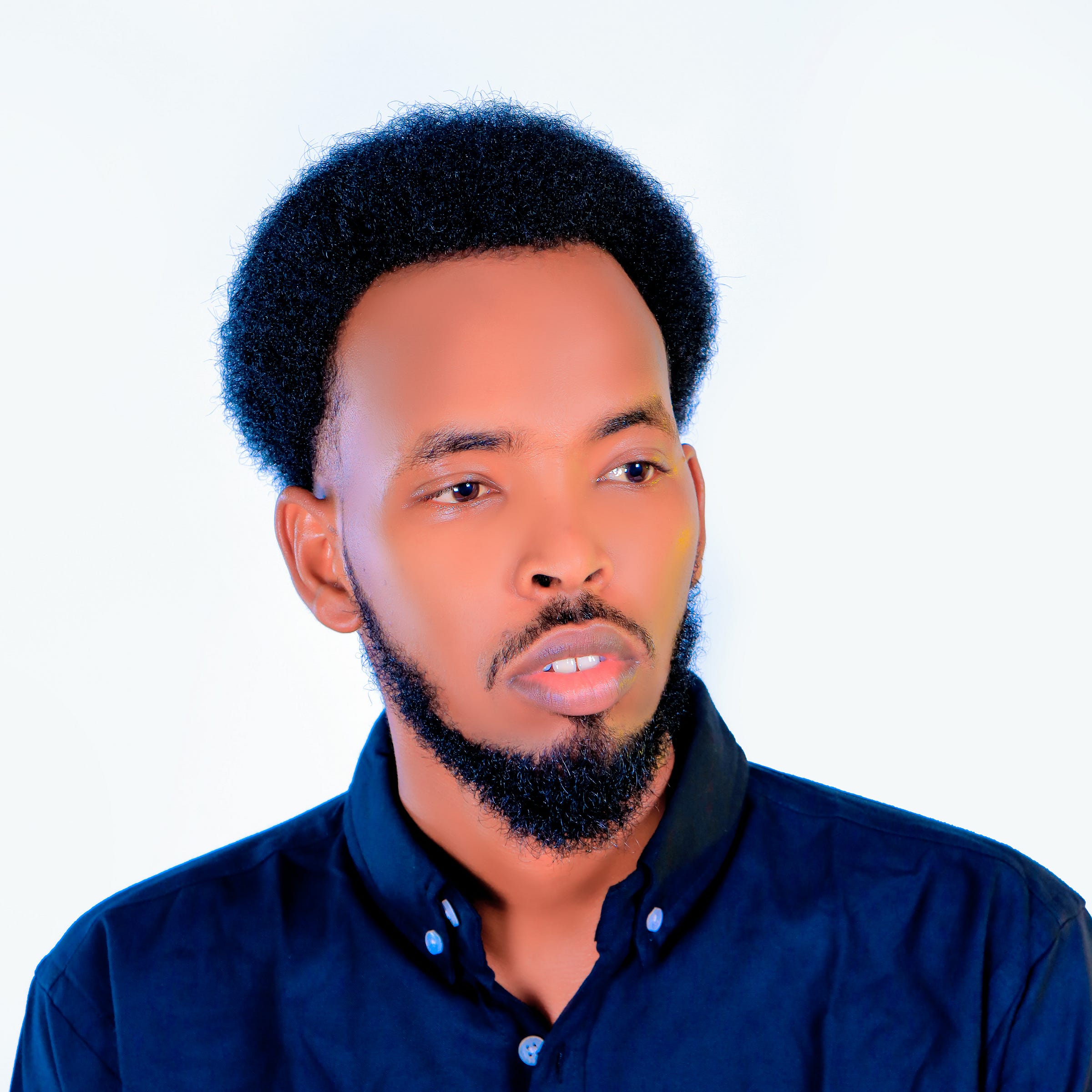 Sir Qurbo – Medium