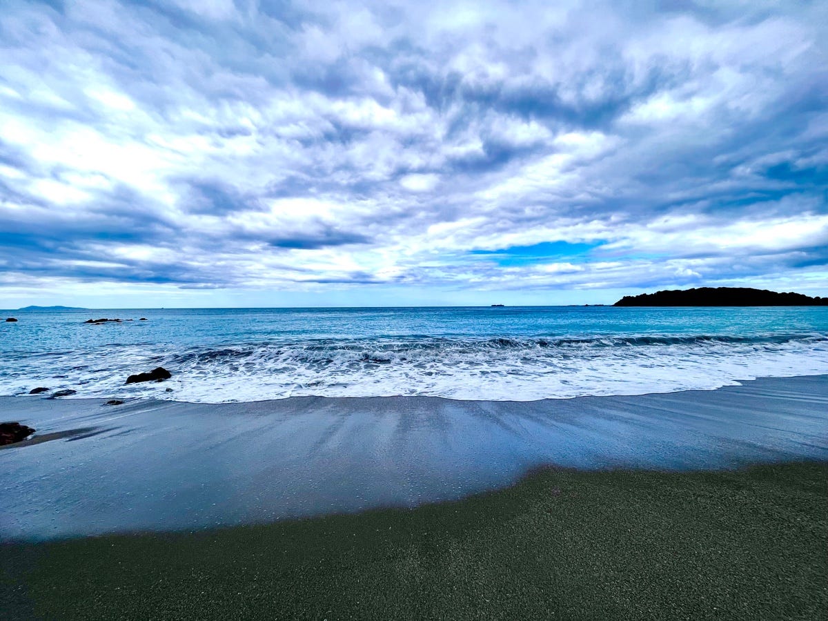 Freedom Bee – Medium