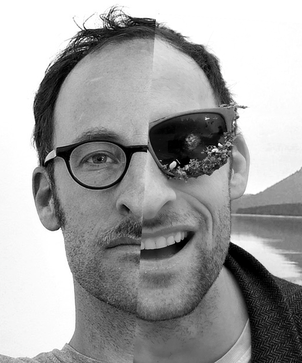 David von Westphalen – Medium