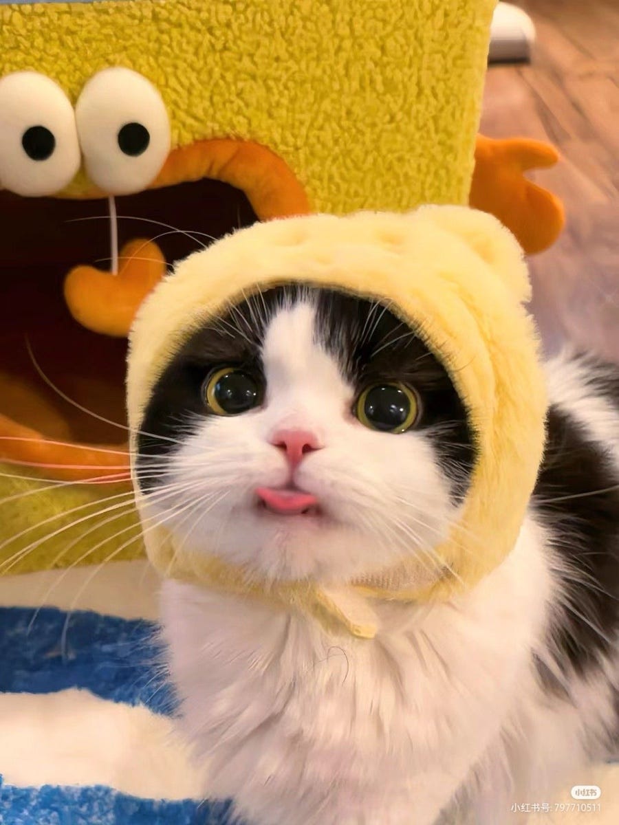 Alyssa Ysabela – Medium