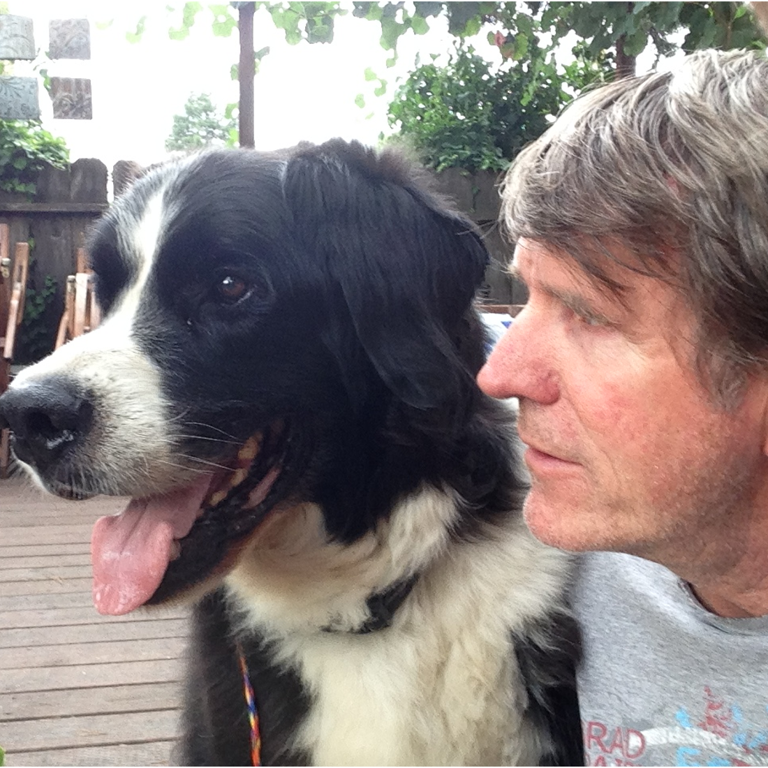 Geoffrey Bush – Medium