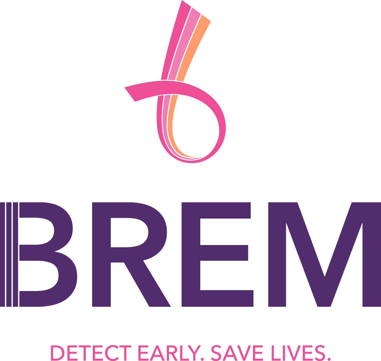 Brem Foundation – Medium