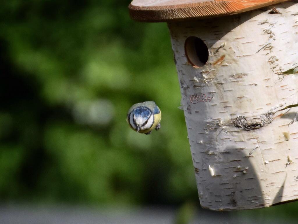 Matthew Weeks – Medium