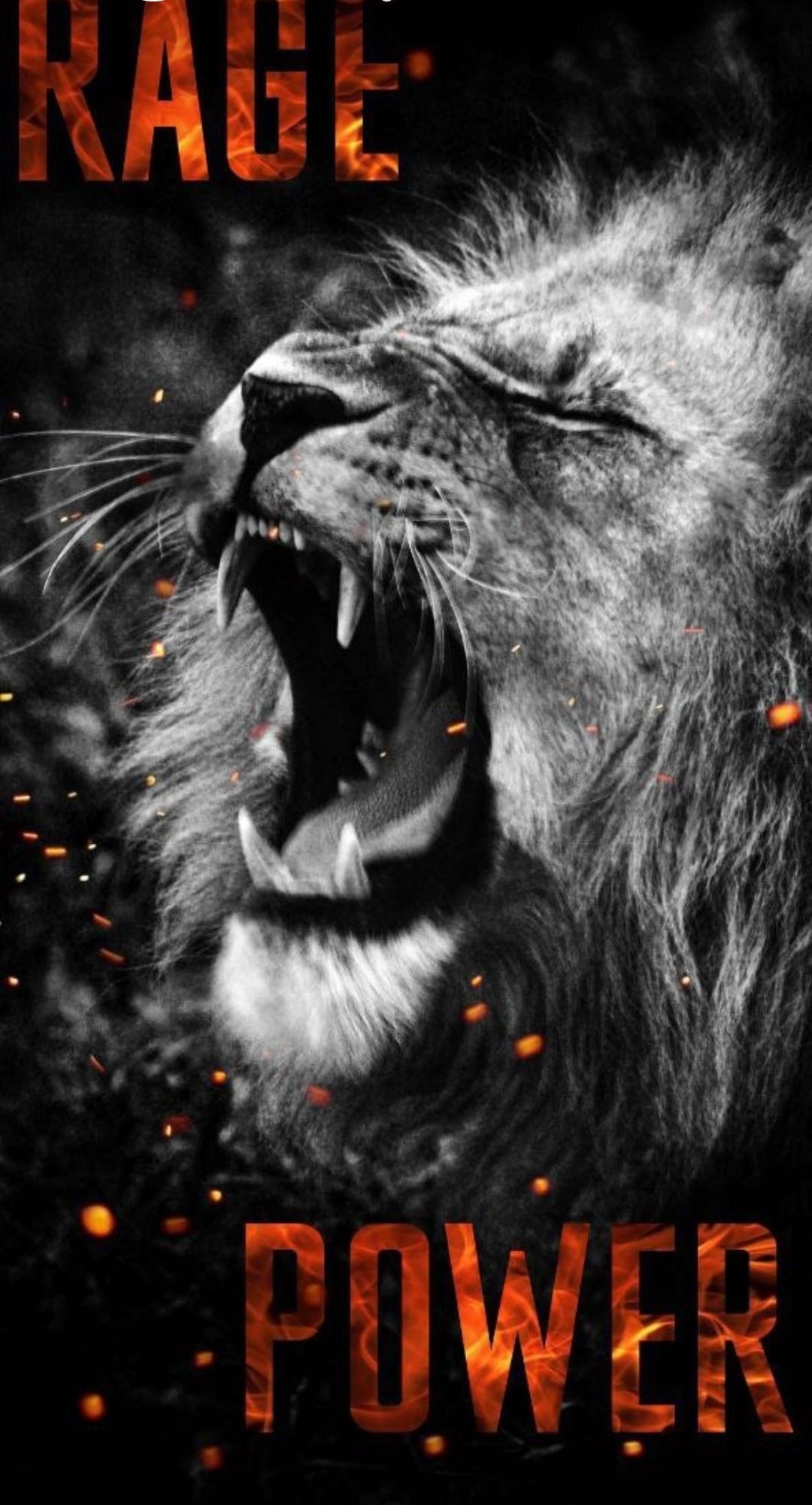 Tim Julius – Medium