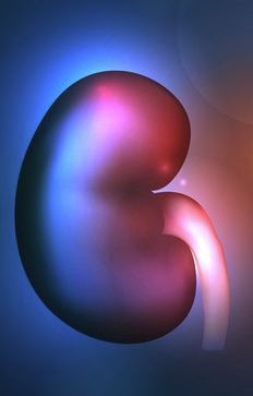 The story of my missing kidney