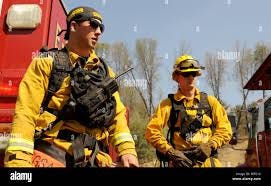 Steven Dobbs – Medium