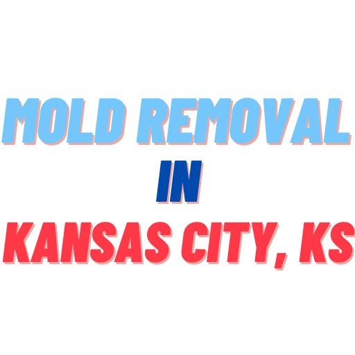 Mold Removal in Kansas City, KS – Medium