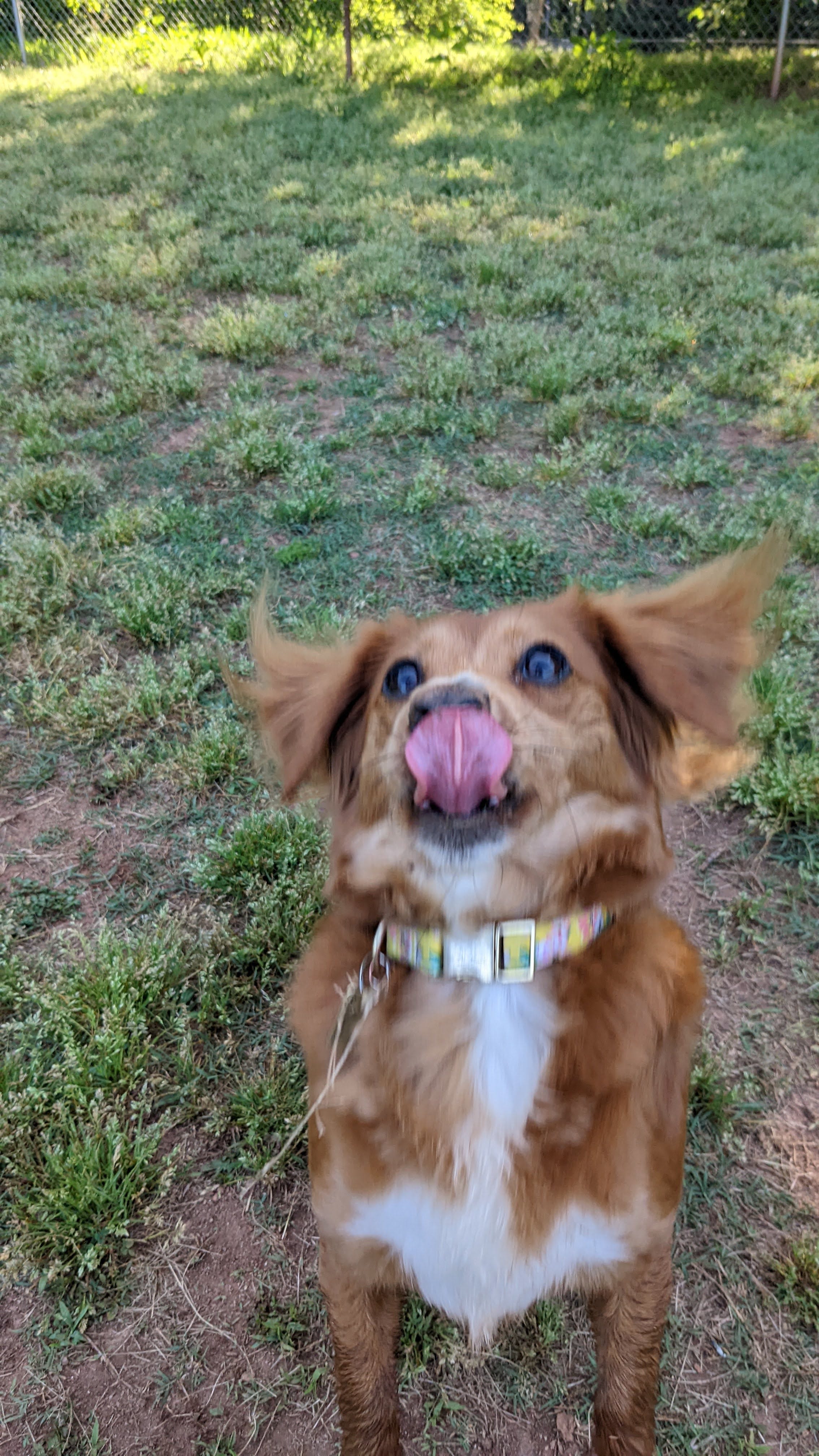 Targoon Siripanichpong – Medium