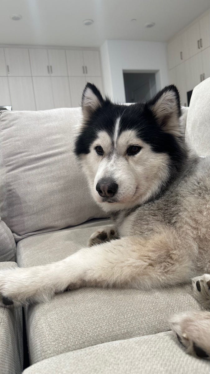 Catherine Hoang – Medium