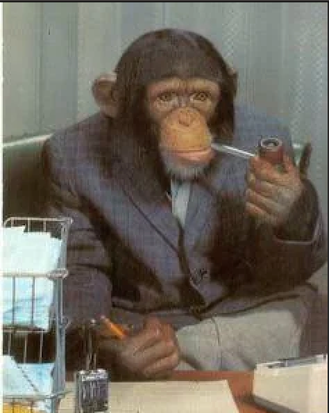 Typewriting Monkey Medium