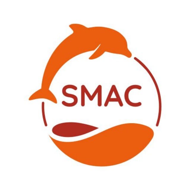 Smartchem – Medium