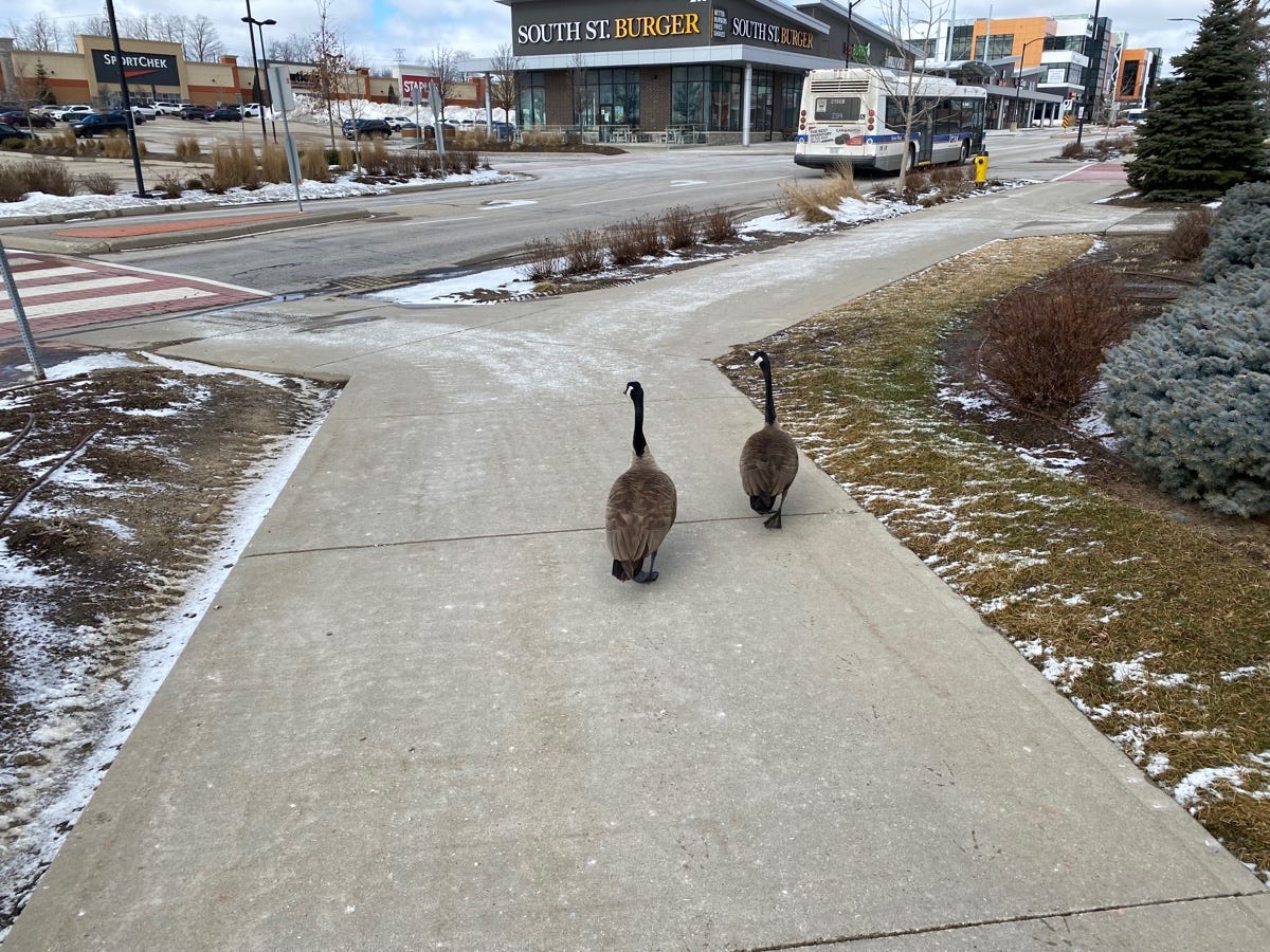 Kwangjin Baek – Medium