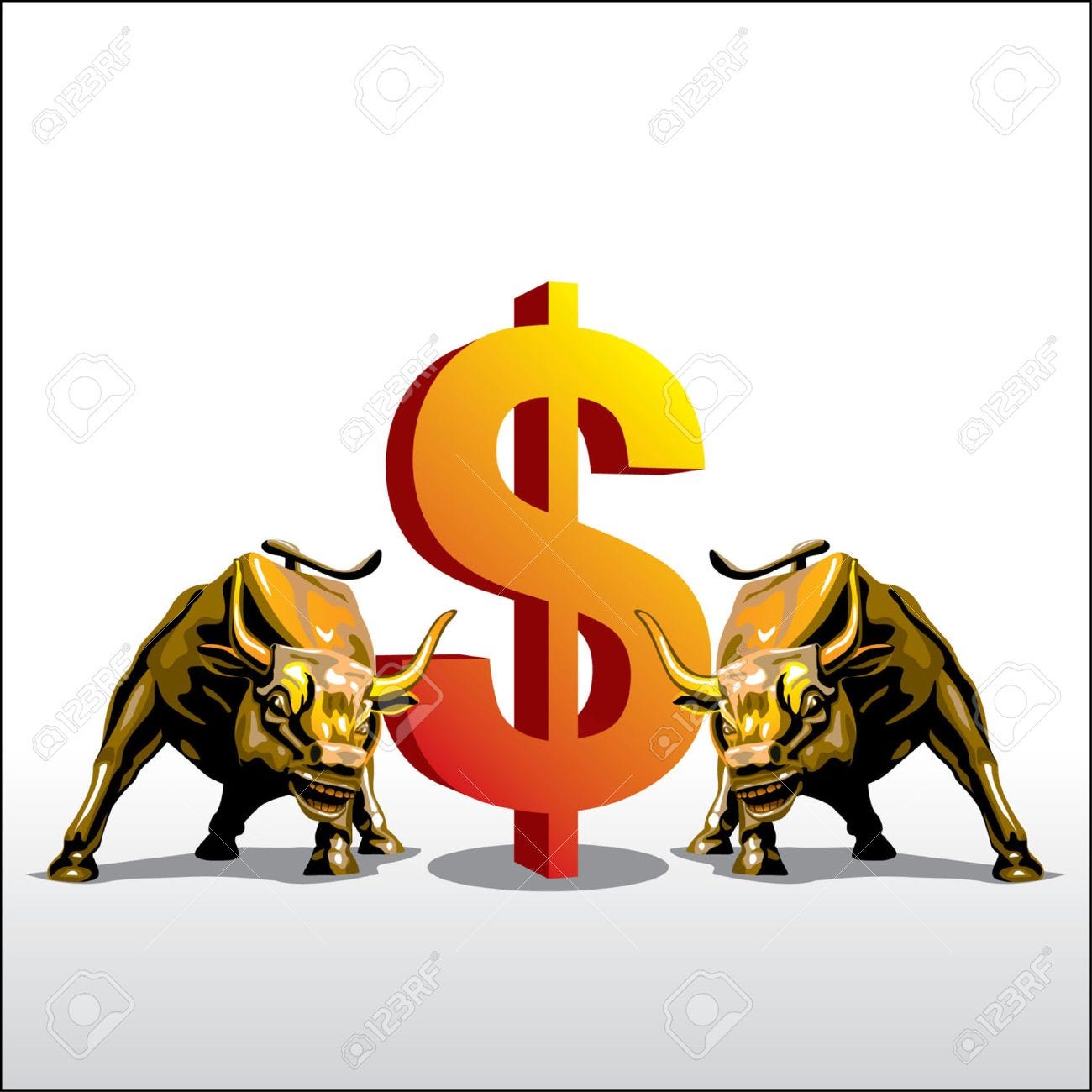 Bull – Medium
