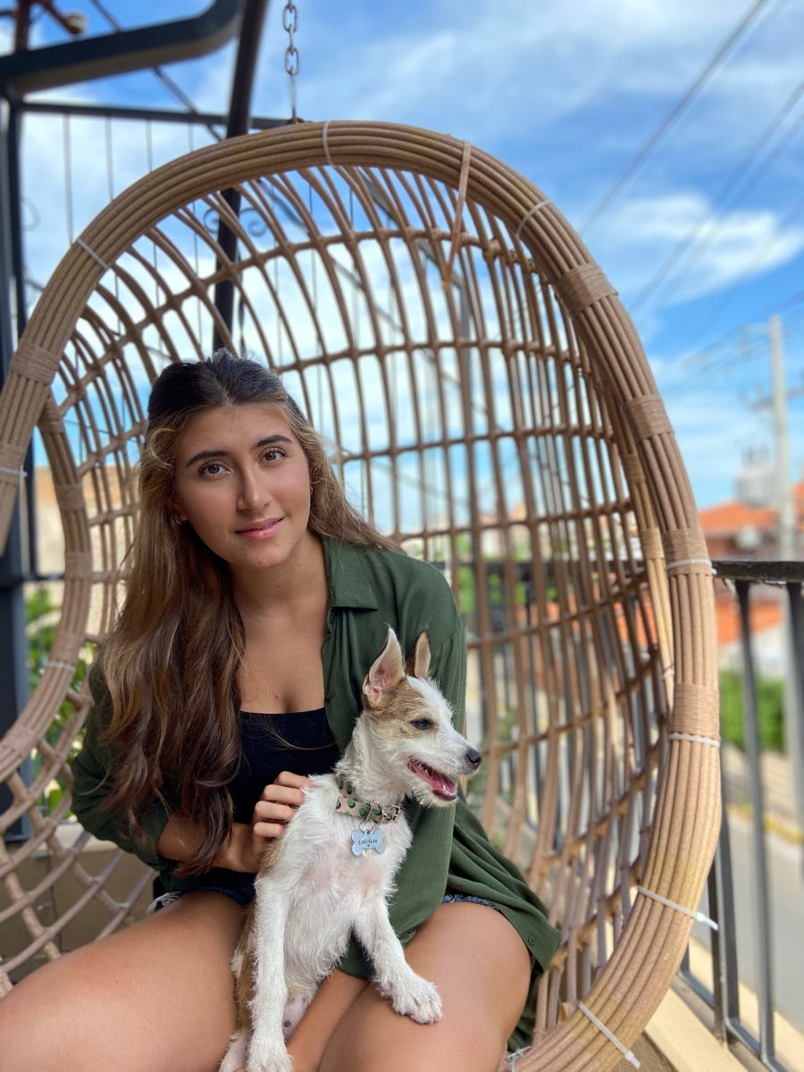 sofía sc on Medium curated some lists