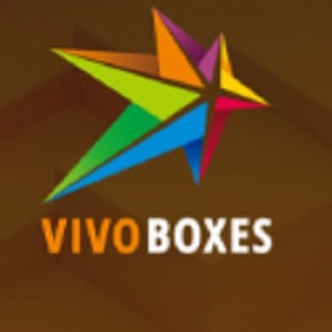 Vivo Boxes – Medium