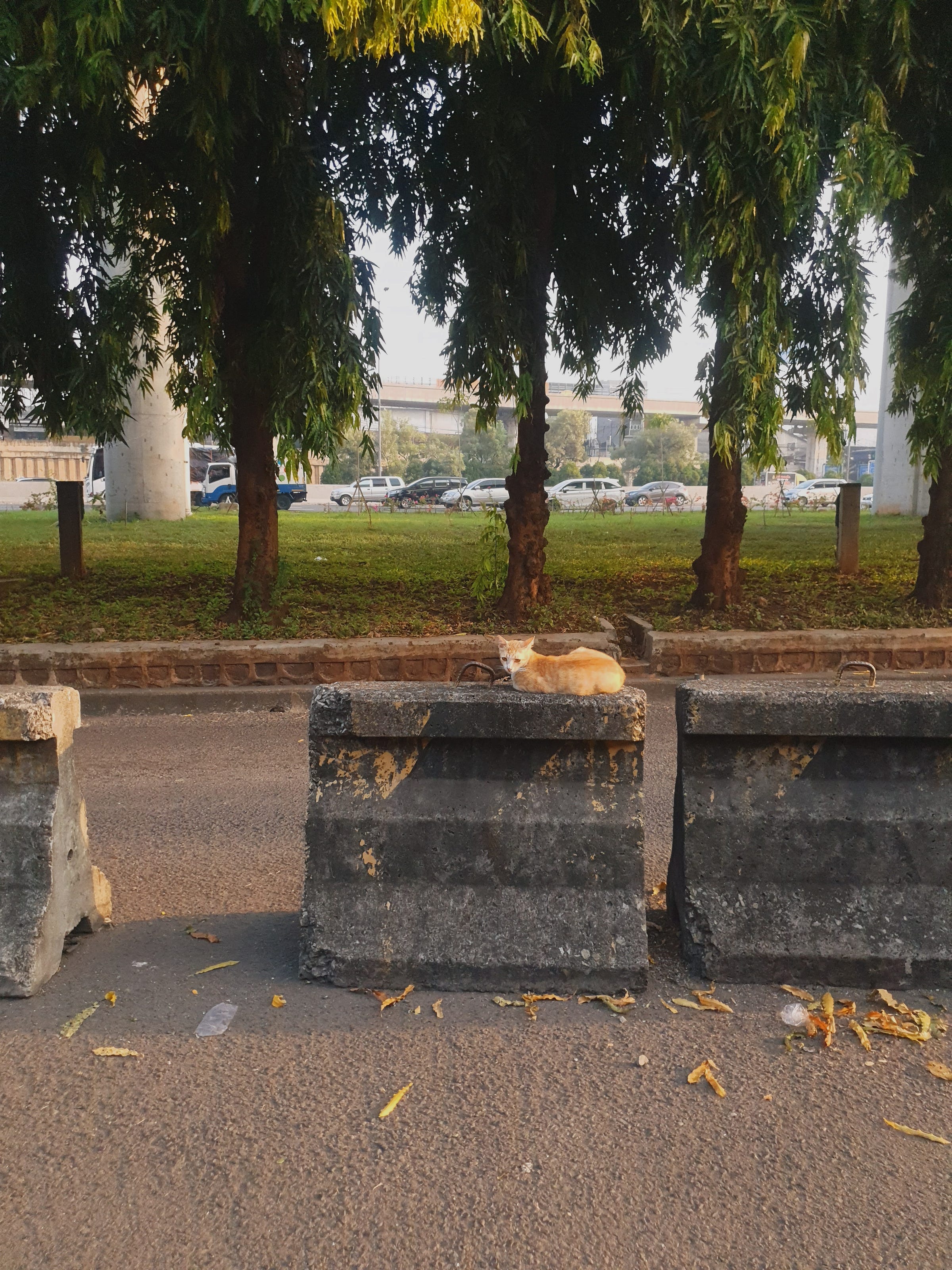 About – a sunny day for a quiet soul – Medium