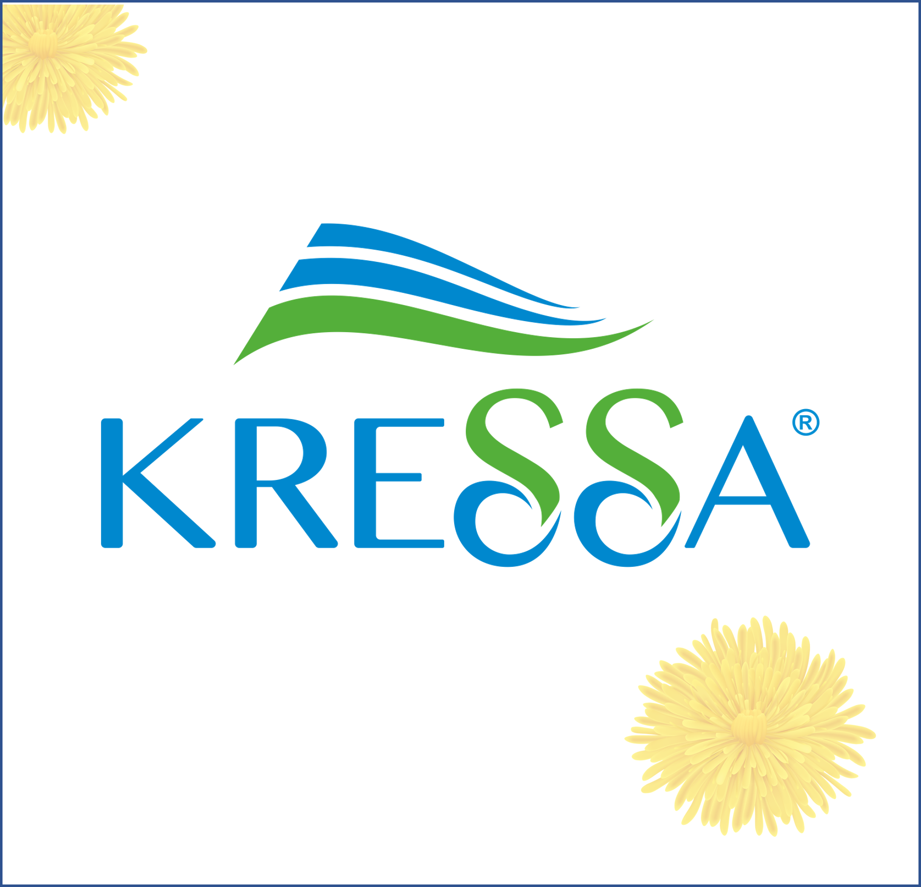 Kressa – Medium