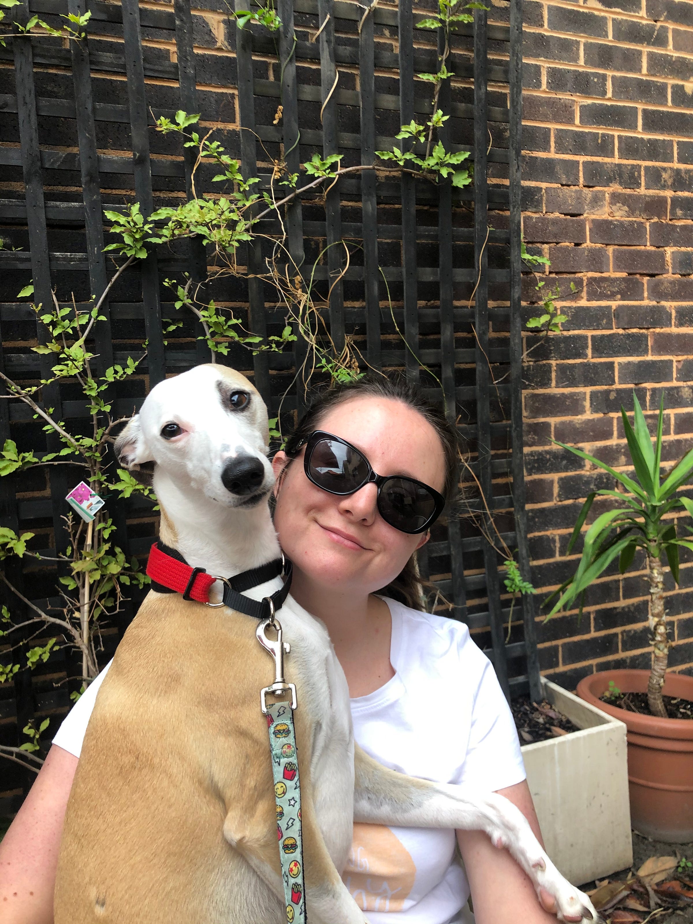 Kerry Halupka – Medium