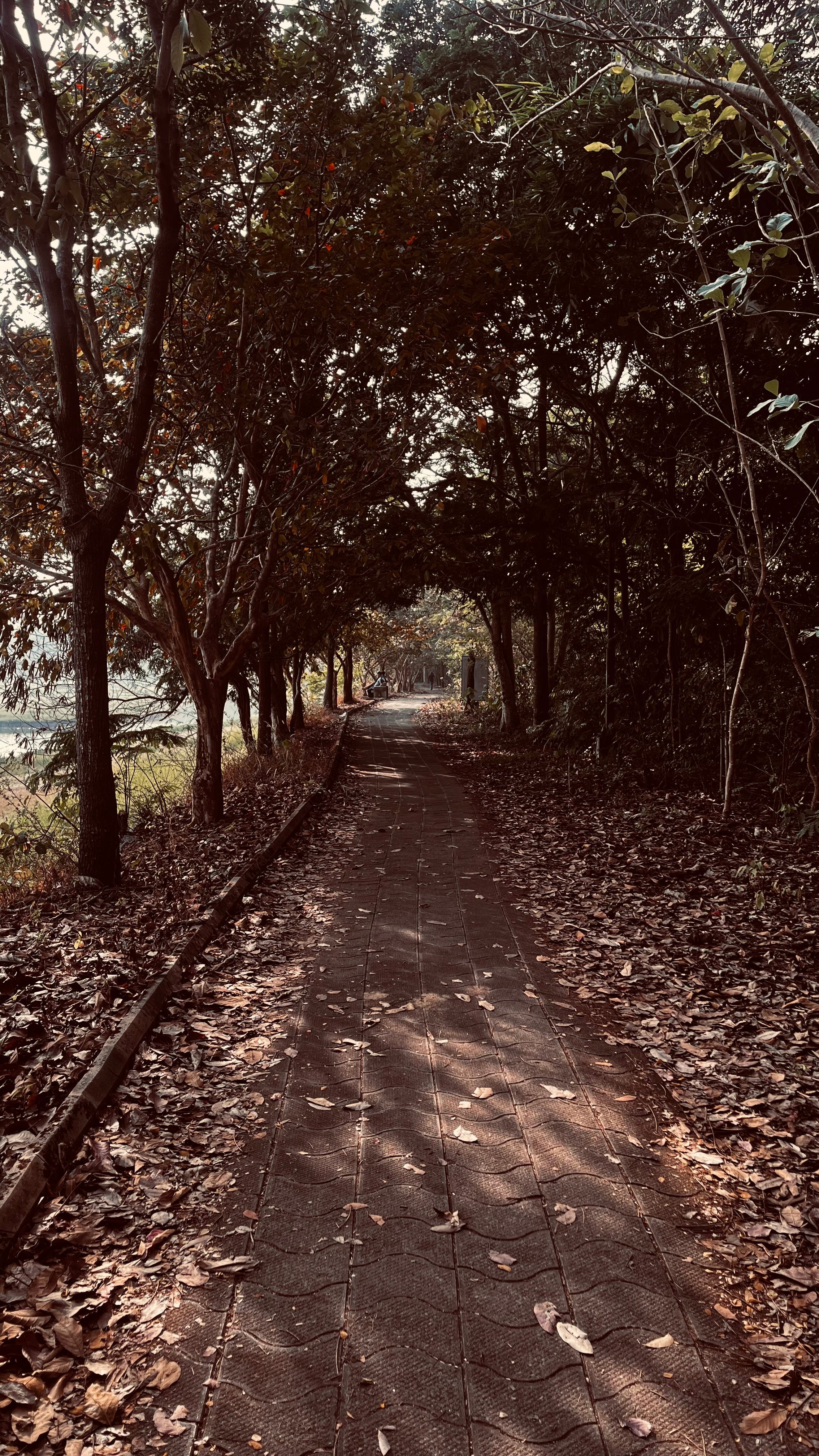 Sarthak Mordia – Medium