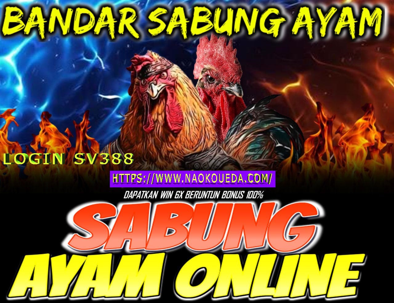 Sabung Ayam Online SV388 Live Official – Medium
