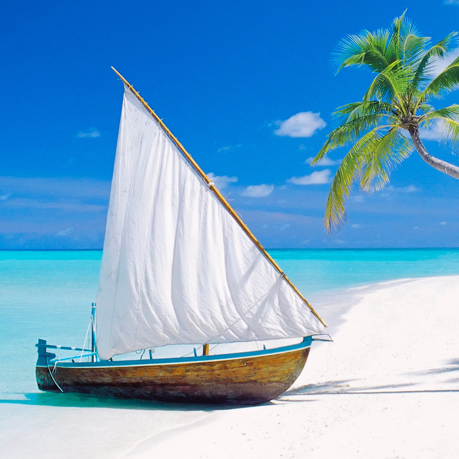 Shandy Wirawan – Medium