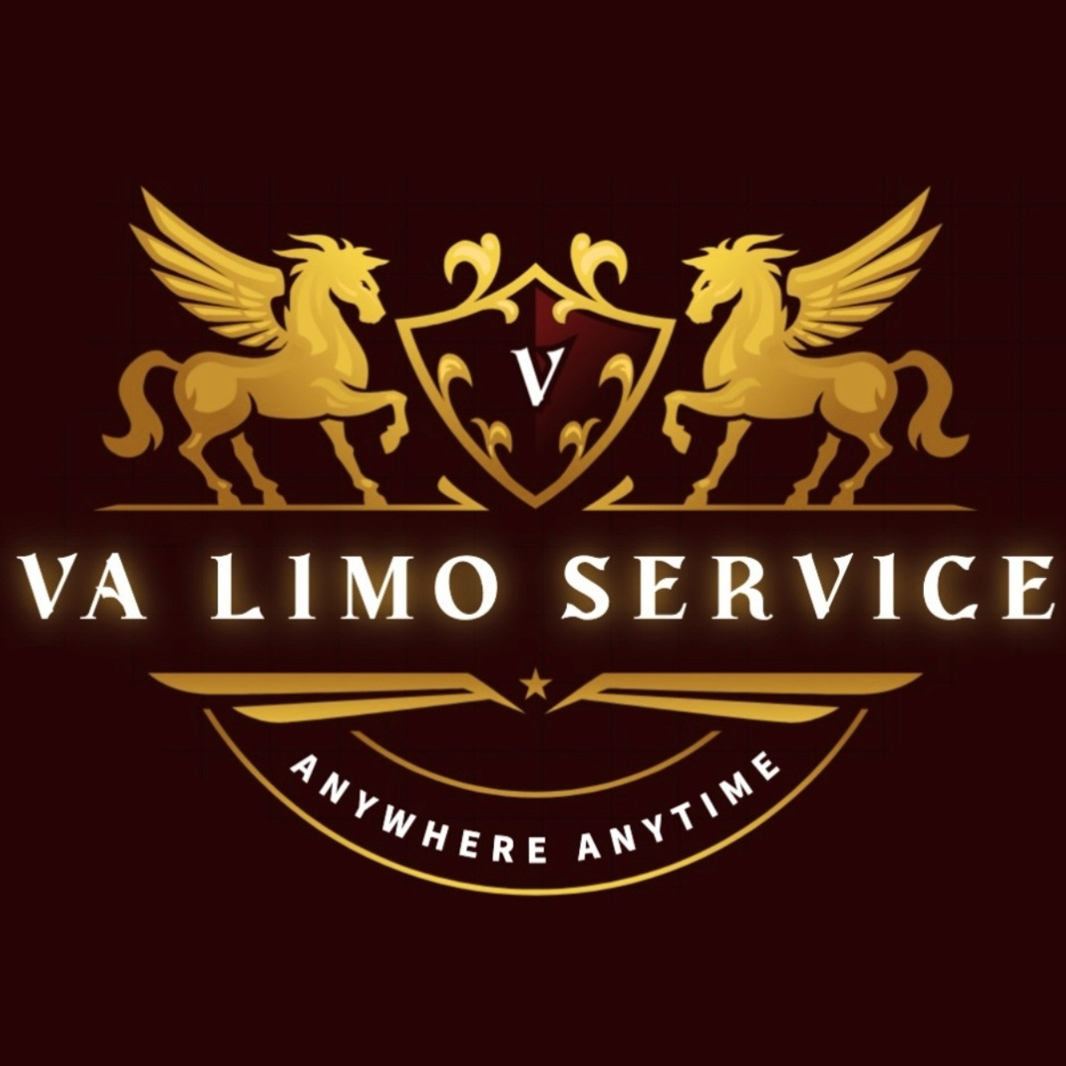 VA Limo Service – Medium
